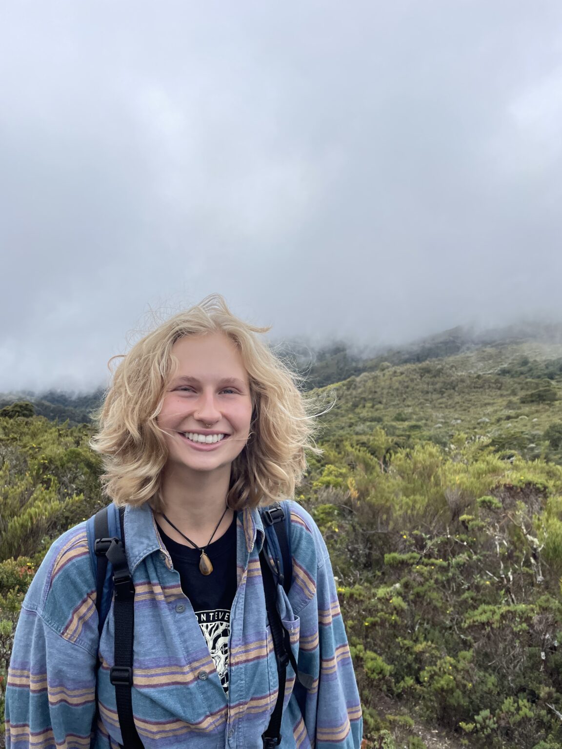 Staff & Board - Catamount Institute